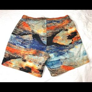 RAINFOREST | Swim | Rainforest Mens Swim Board Shorts Sz L | Poshmark
